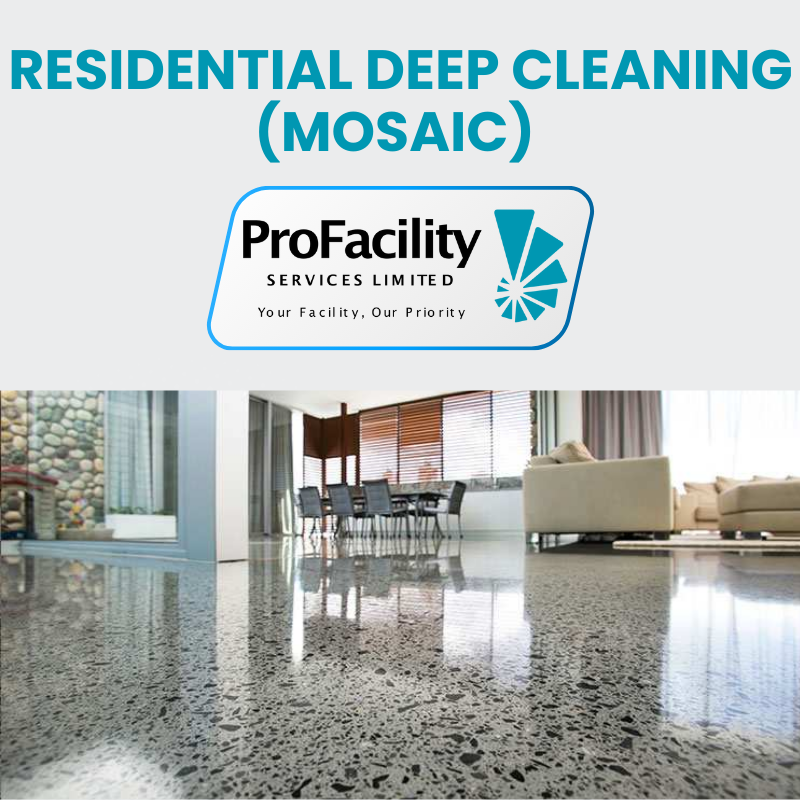 ProFacility Services